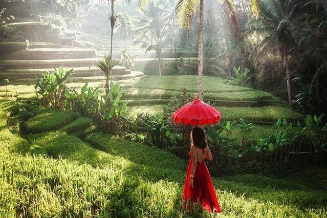 Package 2 day tour in bali all invlusive ( instagram tour and ubud tour) - A Closer Look at the Two-Day Journey