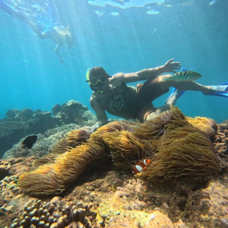 Padang Bai: Blue Lagoon Snorkeling Tour, Lunch & Transfer - Introduction: An Authentic Bali Marine Adventure