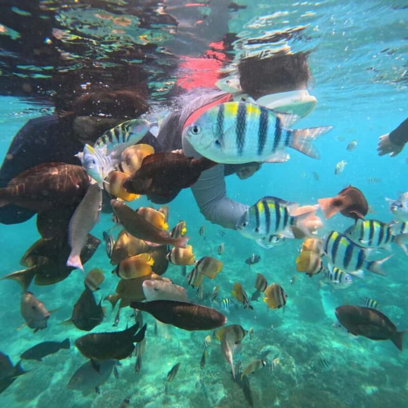 Padang Bai: Blue Lagoon Snorkeling Tour, Lunch & Transfer - Frequently Asked Questions