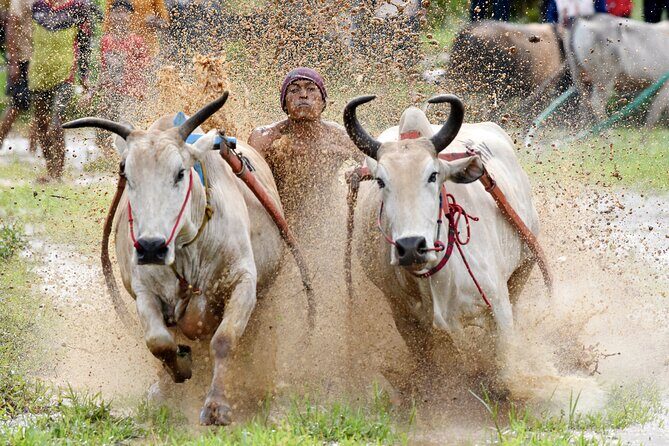 Padang West Sumatra 9-Day Private Tour + Mentawai - Days 7-8: Exploring Nature’s Wonders