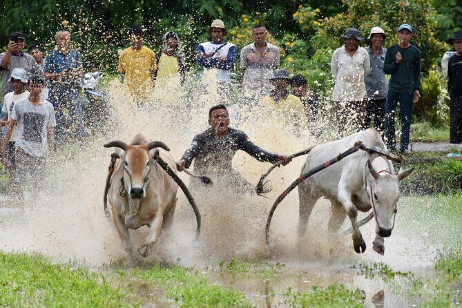 Padang West Sumatra 9-Day Private Tour + Mentawai - Practical Considerations