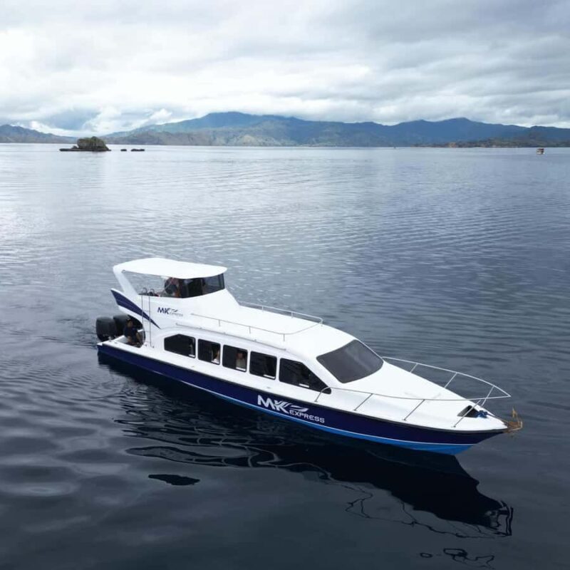 Padar Island, Pink Beach, Komodo Full-Day Shared Trip - Key Points