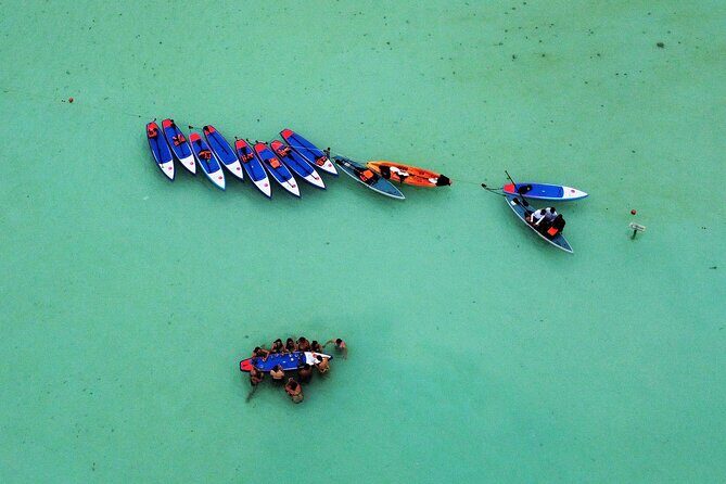 Paddle at Dawn with visit to Cenotes and Islands - The Experience: A Step-by-Step Breakdown