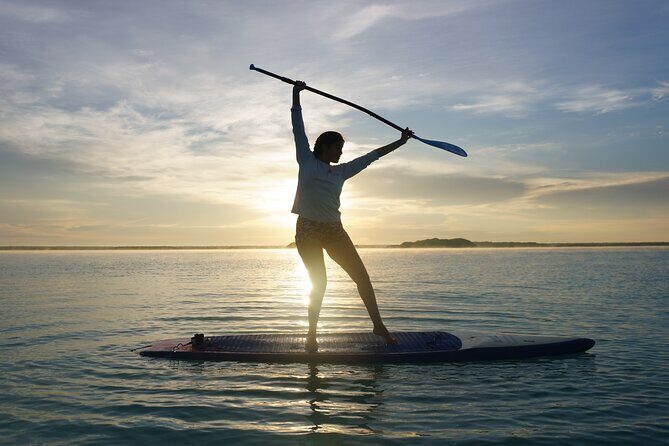 Paddle at Dawn with visit to Cenotes and Islands - Authentic Experiences from Other Travelers