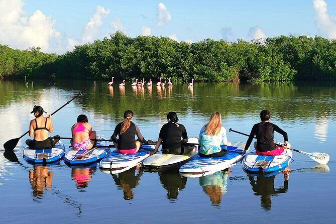 Paddle Board at Dawn in Yucatan - Logistics and Practicalities