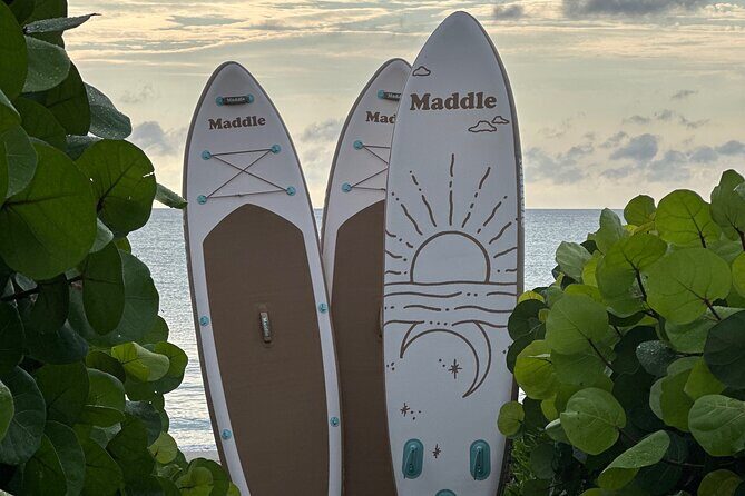 Paddle Board Picnic Peanut Island Palm Beach Singer Island - Analyzing the Value