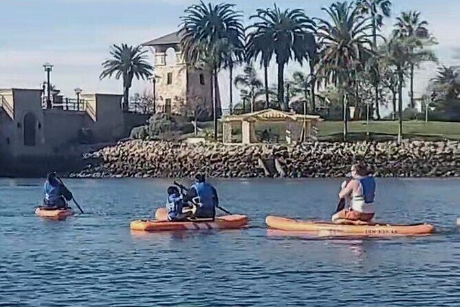 Paddle Board Picnics Lessons Rentals and Outdoor Adventures - An In-Depth Look at Winged not Wired Watersports: What You Can Expect