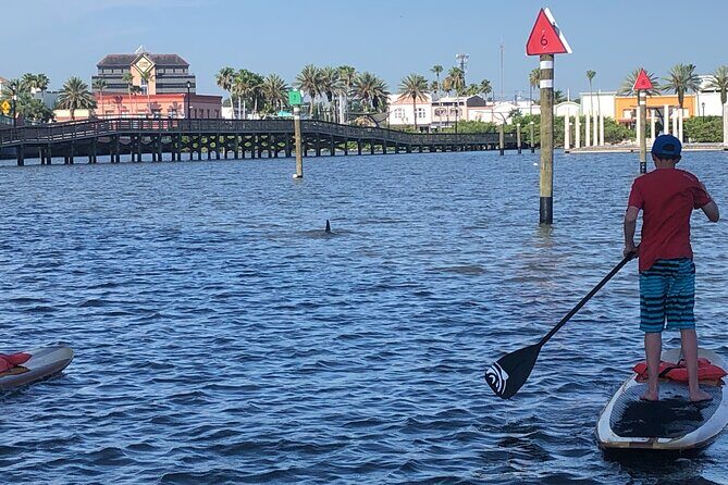 Paddle Board Rental - Who Is This Experience Best Suited For?