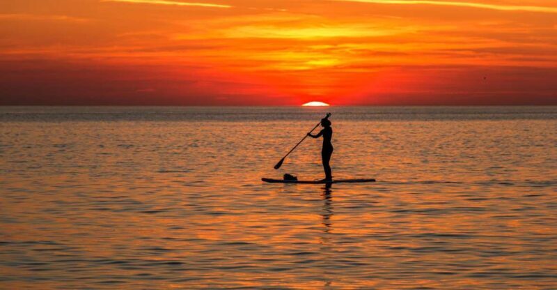 Paddle Board Rental: Glide on the Water with Ease - Authenticity and Value