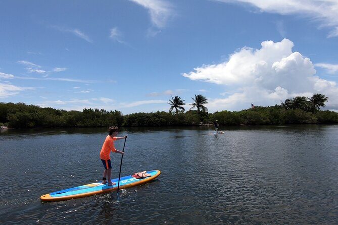 Paddle Board Rental in Vero Beach - An Overview of the Experience