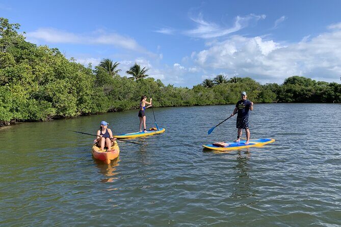 Paddle Board Rental in Vero Beach - Who Will Love This Experience?