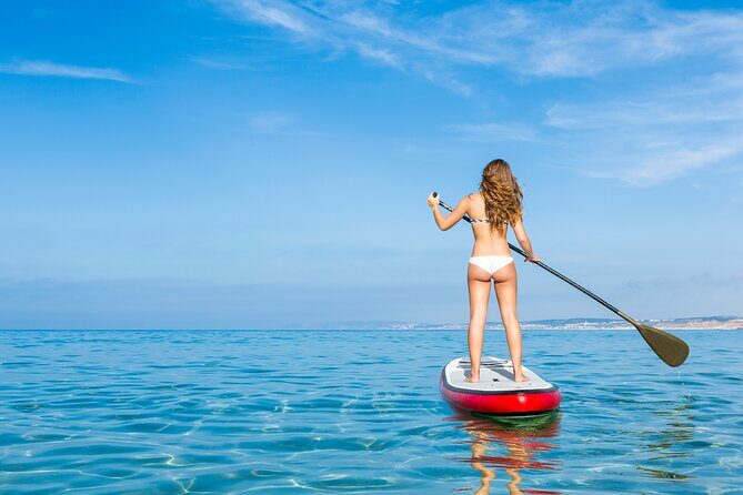 Paddle board Rental Miami Beach - Exploring Miami’s Coastline by Paddleboard