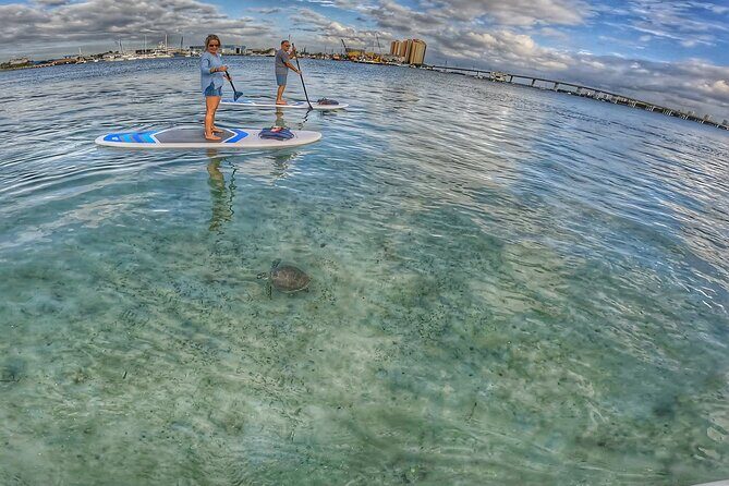 Paddle Boarding Activity to Peanut Island - Value and Price Analysis