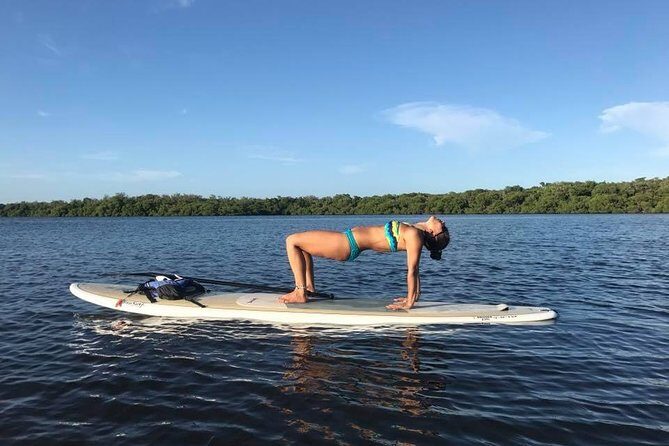 Paddle Boarding Rentals - Authentic Experiences and Traveler Feedback