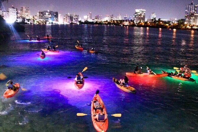 Paddle & Glow LED Kayaking - A Deeper Look at the Paddle & Glow LED Kayaking Tour