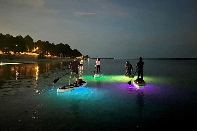 Paddle Out at Dusk for Glow Night Cruise in Gordon Bay - The Experience in Detail