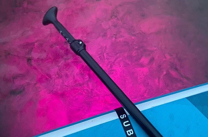 Paddle Out at Dusk for Glow Night Cruise in Gordon Bay - The Sum Up: Is It Worth It?