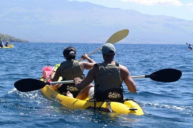 Paddle, Snorkel and Learn to Surf: All in a Day on Maui - Authentic Experiences and What Travelers Say