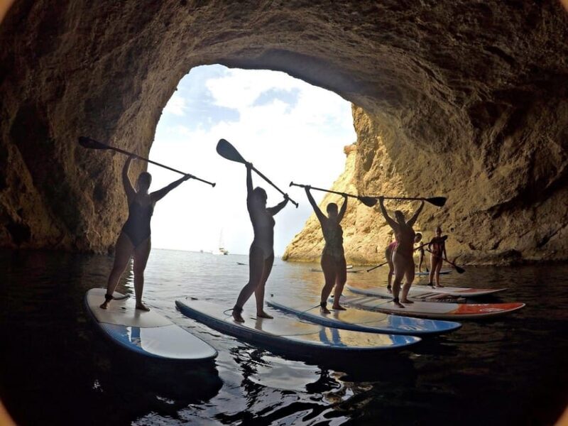 Paddle surf course - Who Is This Tour Best For?
