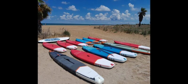 Paddle Surf Delivery Boards - A Closer Look at the Paddle Surf Delivery Boards Experience
