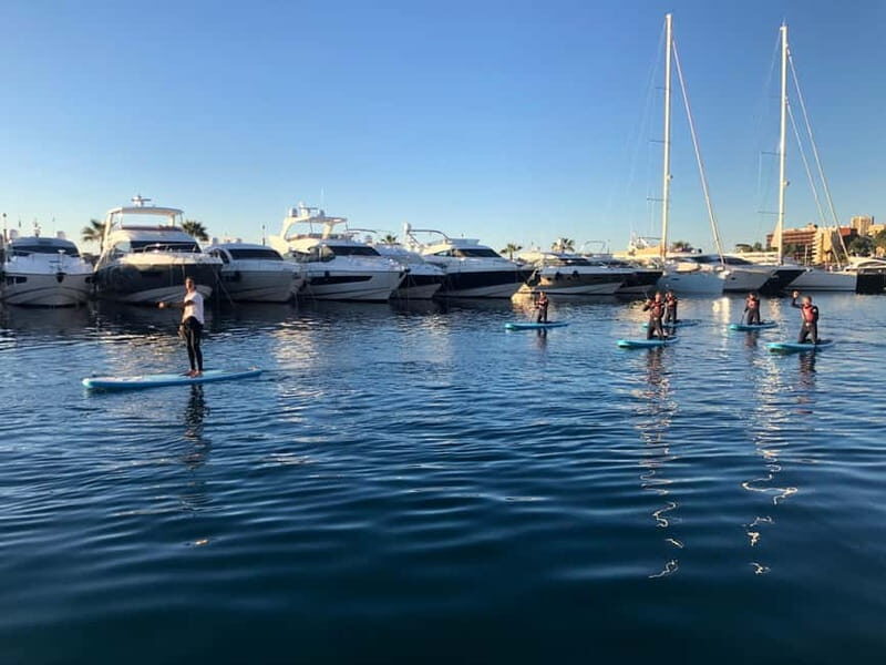 Paddle surf excursion - Key Points