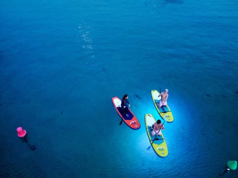 Paddle Surf with Led lights at sunset in Menorca - An Overview of the Experience