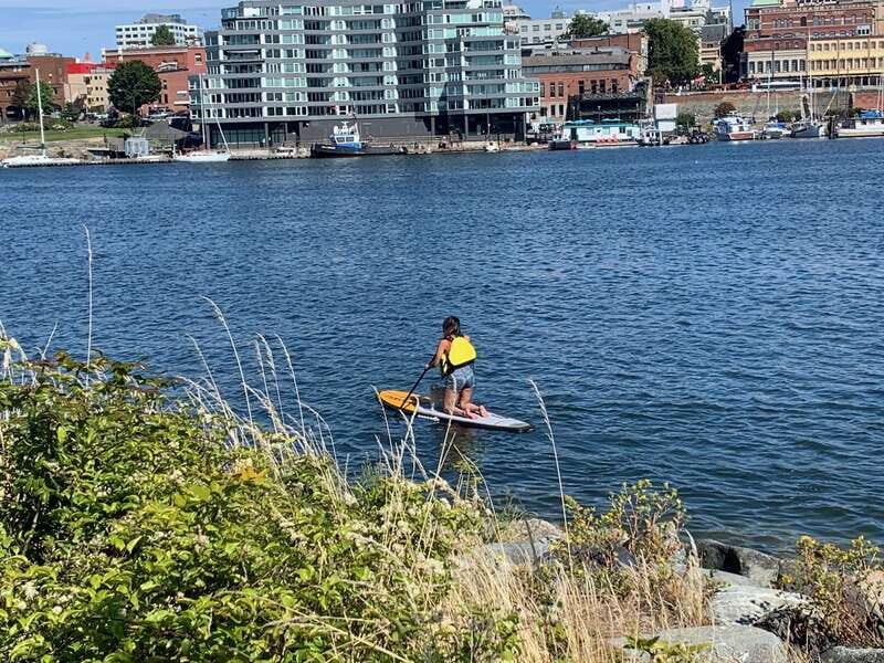 Paddle the heart of downtown Victoria - Discover what makes this paddleboard tour a standout option in Victoria