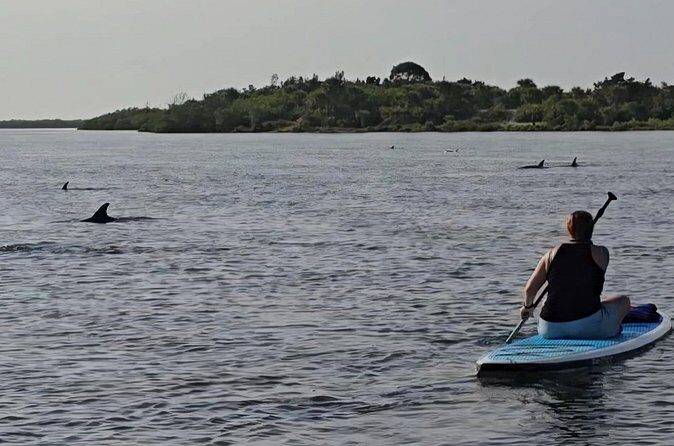 Paddle With Native Wildlife - FAQ