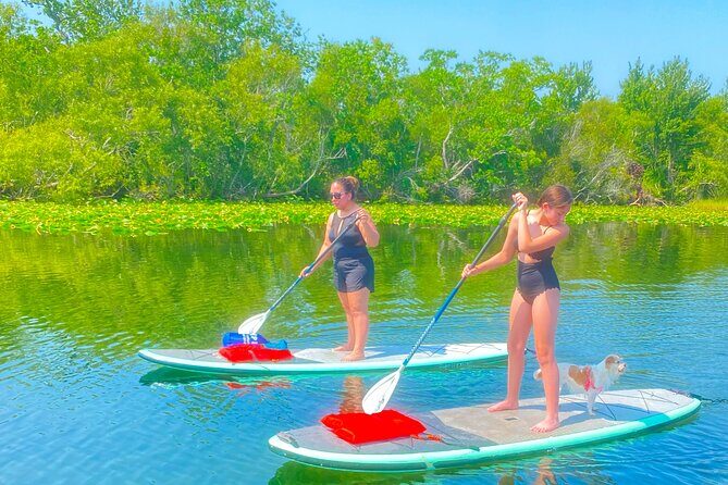 Paddle with Pups in Paradise - Paddleboard or Kayak - Practical Details: What You Need to Know