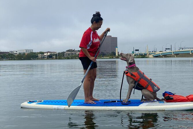 Paddle with Pups in Paradise - Paddleboard or Kayak - The Sum Up: Is It Worth It?