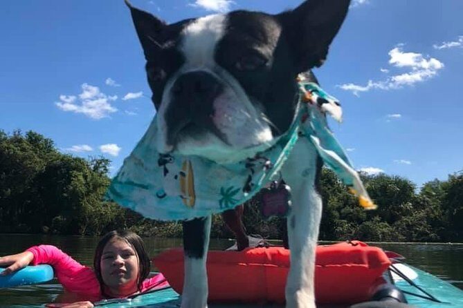 Paddle with Pups in Paradise - Paddleboard or Kayak - FAQs