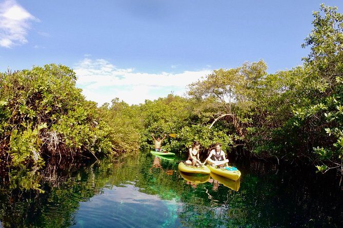 Paddleboard Cenote Tour - Discovering Tulum’s Tranquil Waters: What the Tour Offers
