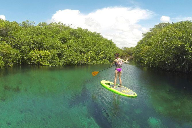 Paddleboard Cenote Tour - Real Travelers’ Perspectives