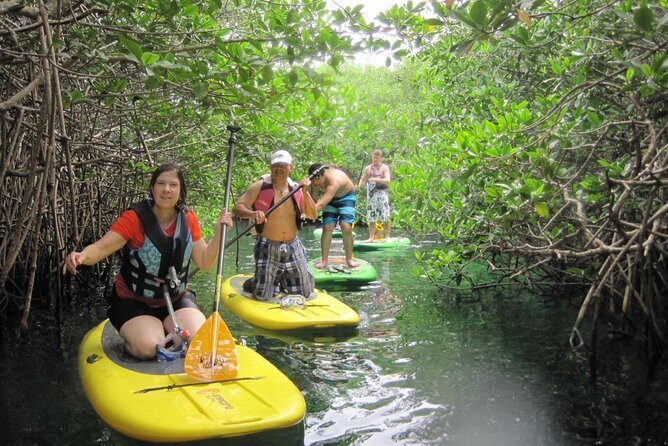 Paddleboard Cenote Tour - The Sum Up: Why Choose the Paddleboard Cenote Tour?