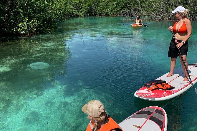 Paddleboard Kayak Tour in Cancun - What to Expect from the Tour: An Overview