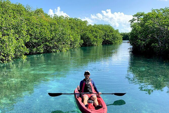 Paddleboard Kayak Tour in Cancun - Practical Details That Matter