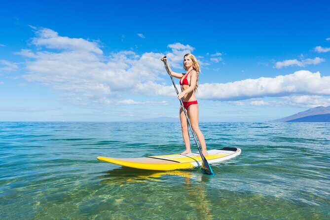 Paddleboard Miami Beach - An In-Depth Look at Paddleboard Miami Beach