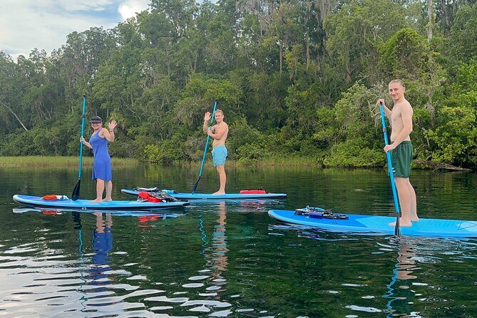 Paddleboard Rental  Three Sisters Springs & Manatee Refuge - The Value of This Paddleboard Tour
