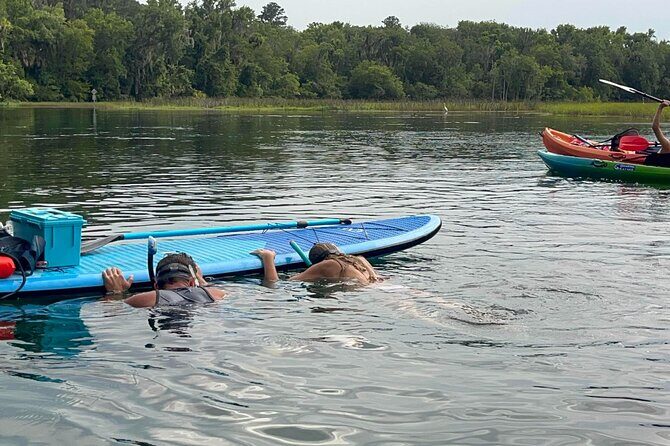 Paddleboard Rental  Three Sisters Springs & Manatee Refuge - Details That Matter