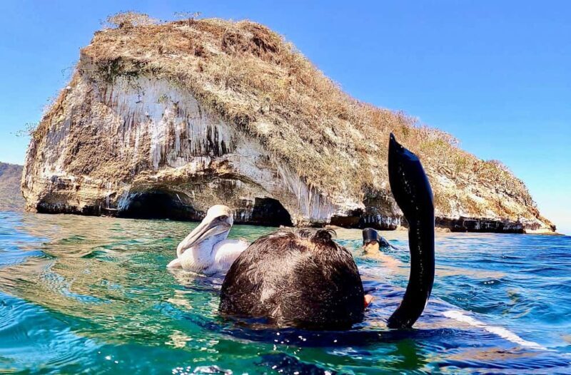 Paddleboard & snorkel tour in Los Arcos - Who Will Love This Tour?