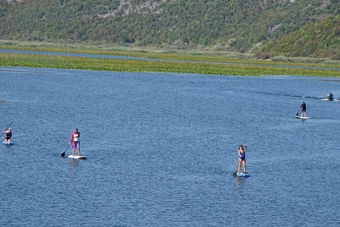 Paddleboard (SUP) Tour on Crnojevic River to Skadar Lake - Authentic reviews and insights
