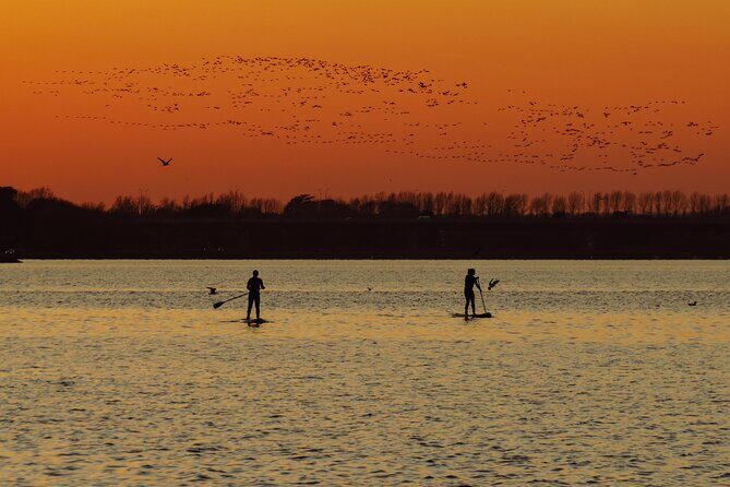 Paddleboarding in Dublin - Key Points