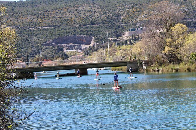 Paddleboarding on River Ombla - A Closer Look at the Ombla River Paddleboarding Tour