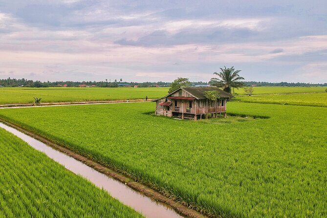 Paddy Field and Fishing Tour in Tanjong Karang - Assessing the Value and What Travelers Say