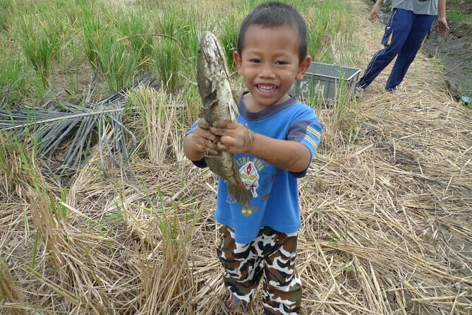 Paddy Field Experience with Real Agricultural Activities - The Real Value: Whats It Worth?