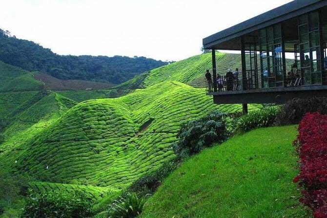 Paddy Field Experience with Real Agricultural Activities - FAQ