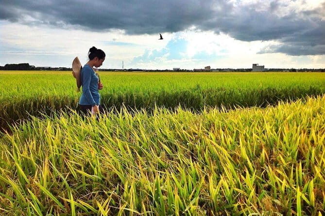 Paddy Field, Fishing And Fireflies Tour - Discover the Paddy Field, Fishing, and Fireflies Tour: A Genuine Day in Rural Malaysia