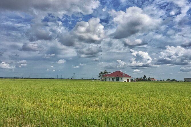 Paddy Field, Fishing Village Sekinchan DAY Tour Lunch (SIC-Shared/Join In Tour) - Final Thoughts: Who Will Enjoy This Tour?