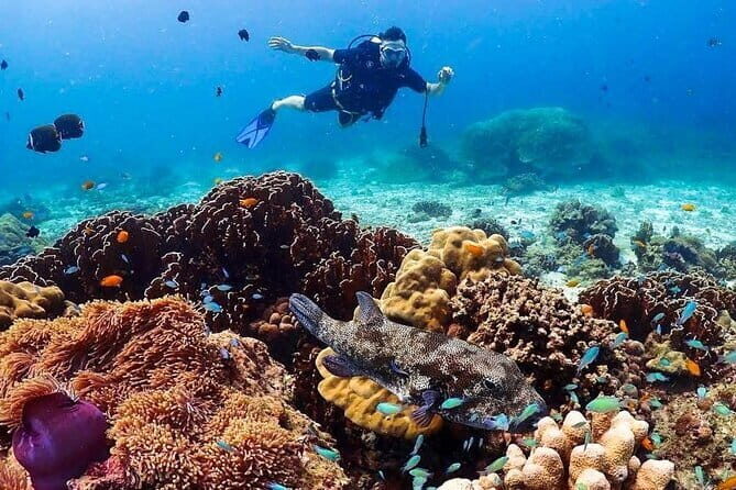 PADI Advanced Open Water Course (5 Dives-2 Days) - FAQ