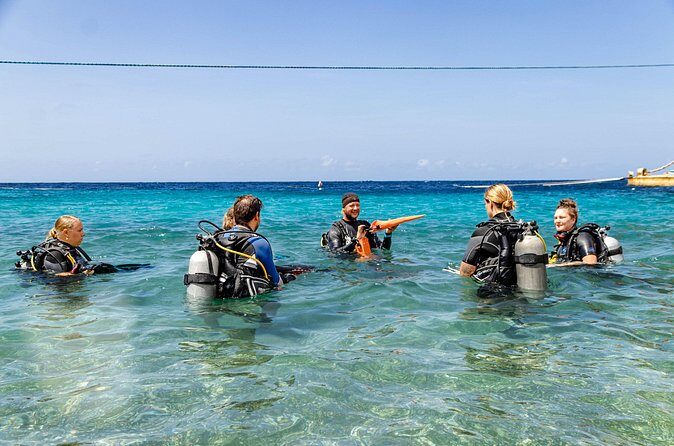 PADI Advanced Open Water Course in 2 days Including Night Dive - Practical Tips for Potential Participants